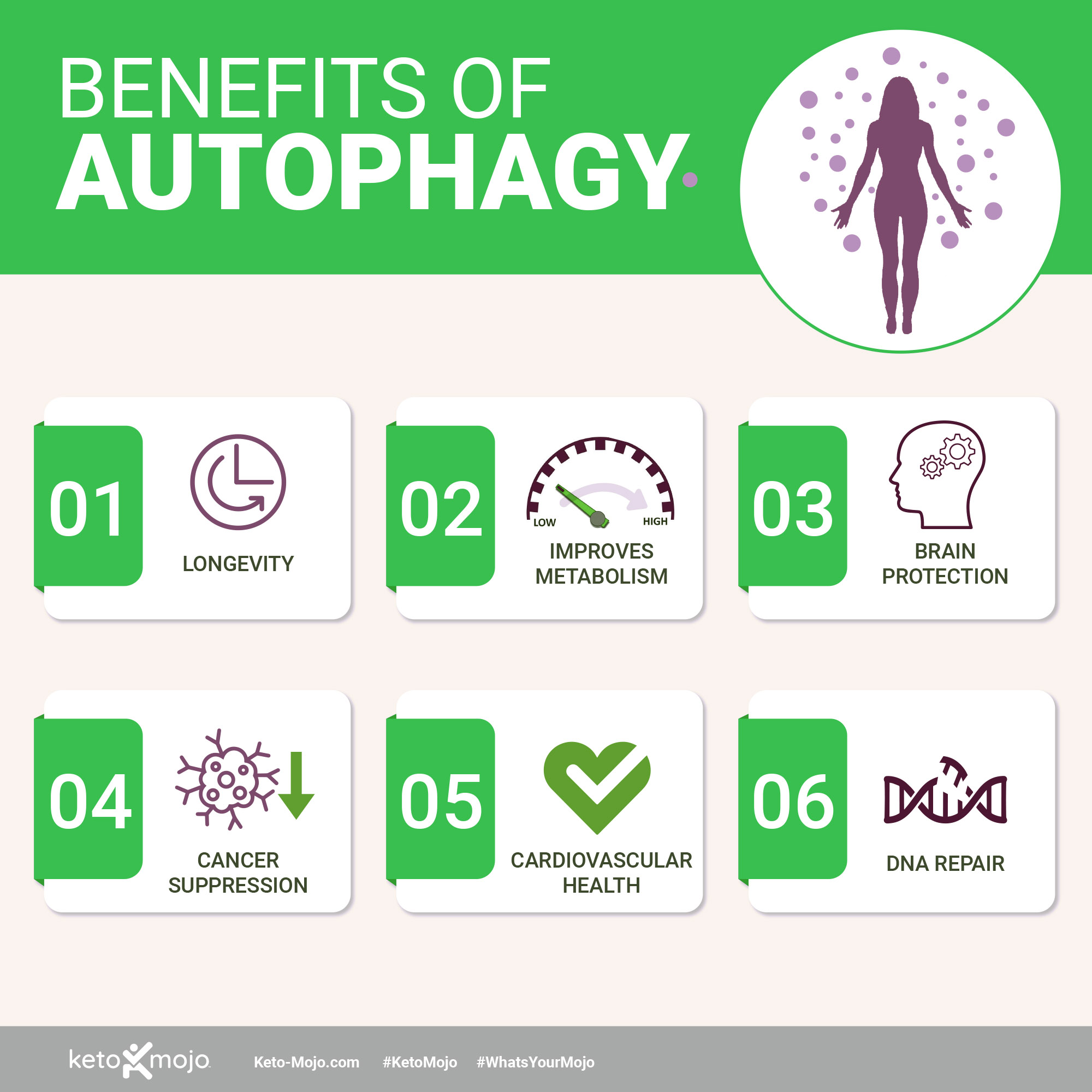 Autophagy là gì? Những ứng dụng của giải Nobel y học vào cuộc sống